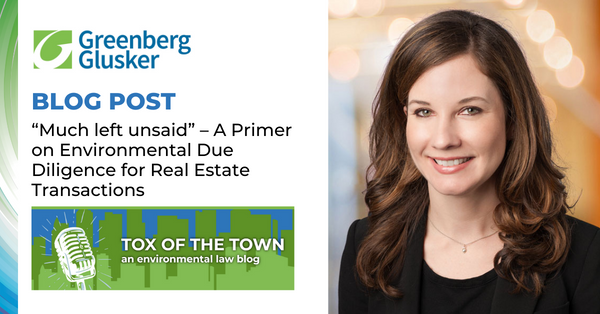 “Much left unsaid” – A Primer on Environmental Due Diligence for Real ...