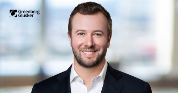 Representative Experience | Matthew Dysart